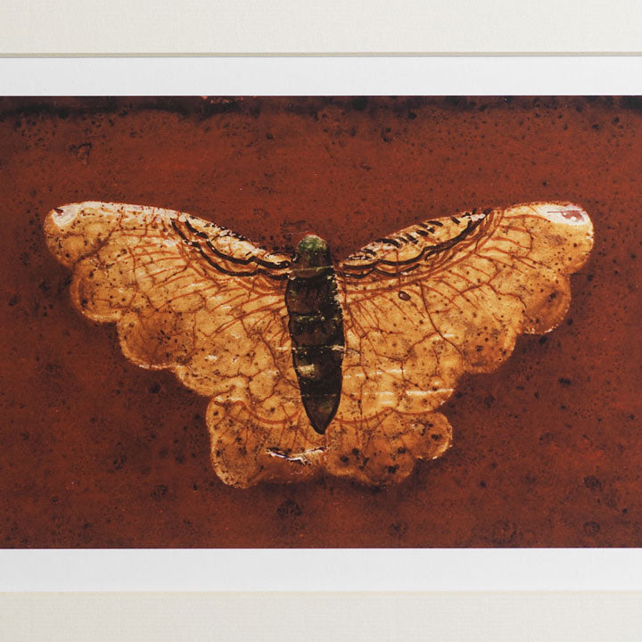 Limited Edition Print - 'Butterfly' — Shimu